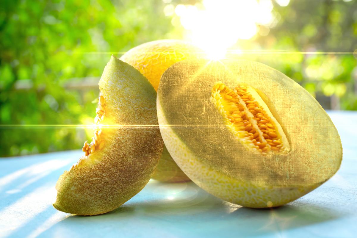 Gov t Spends 4 4M To Establish Melon Excellence MRCTV Gov t Spends 4 4M To Establish Melon Excellence MRCTV