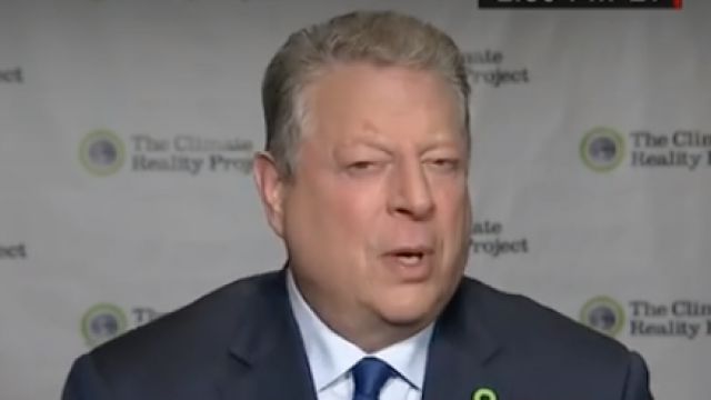 ‘Global Warming’ Gore Claims More Than 99% of Scientists Agree With Him ...