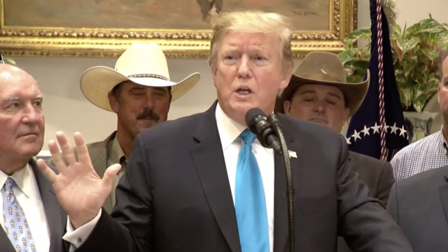 Trump Fires Back at ‘Crazy Nancy’ And ‘Cryin’ Chuck’ | MRCTV