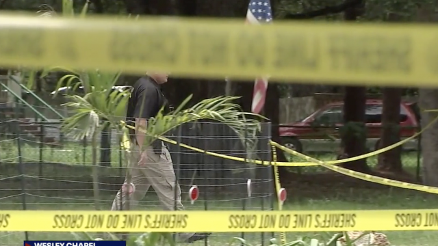 Three Armed Men Break Into Gun Enthusiast's Home -Sheriff Says He Shot ...