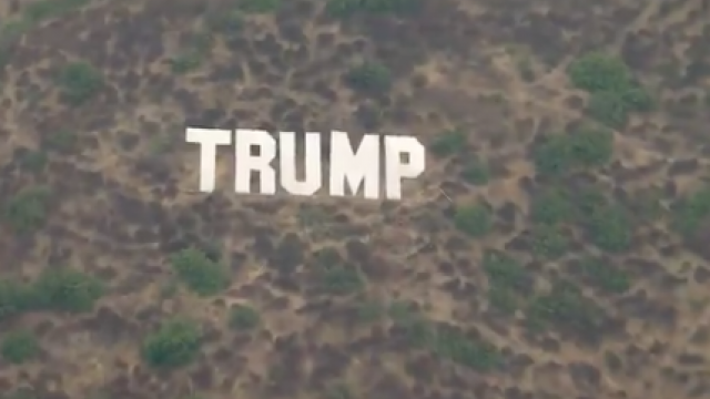 Hollywood-Style Trump Sign Erected and Taken Down Along L.A. Freeway ...