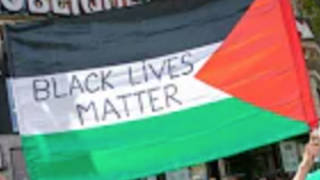 BLM Tweets Support for Palestine, Calls on Congress to 'Divert' Aid to ...