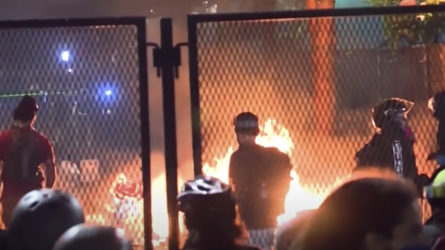 Portland’s Entire 50-Man Riot Squad Police Unit QUITS After Member Is ...