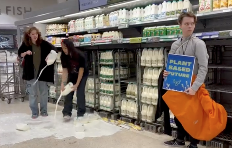 Move Over, Oil Nuts: Anti-Meat Losers Are Now Pouring Milk All Over ...