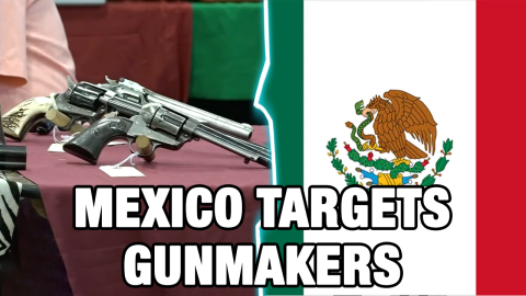 20 States File Briefs Defending US Gunmakers From Mexican Gov't Suit ...