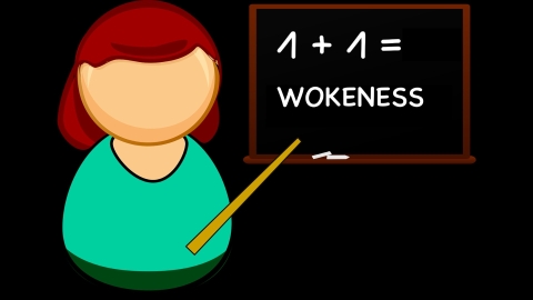 'Woke' For Work? Study Shows Schools Using Ideological Qualifications ...