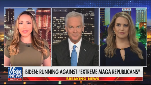 MRCTV's Hamill On Fox Discussing Egregious Media Bias In The 2024 ...