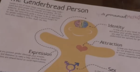 Texas Student Challenges Controversial 'Genderbread Person' Class ...