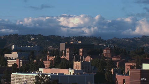 UCLA DEI Official Plagiarized Dissertation, Report Reveals