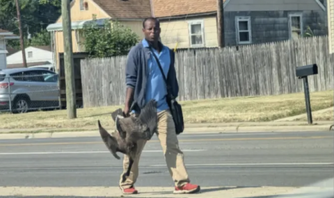 Ohio Residents Sound Alarm: Haitian Migrants Killing Local Geese ...