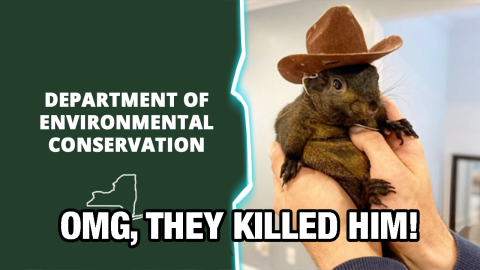 Kathy Hochul’s Goon Squad Kills Internet-Loved Peanut the Squirrel ...