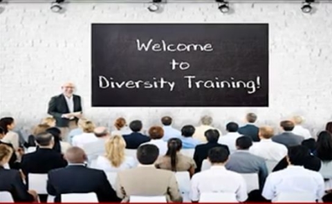 DEI Training Fosters Unfair Accusations and ‘Punitive Responses,’ Study ...