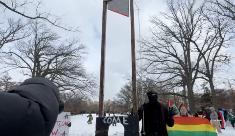 Masked Protester Displays Guillotine During Presidential Inauguration ...