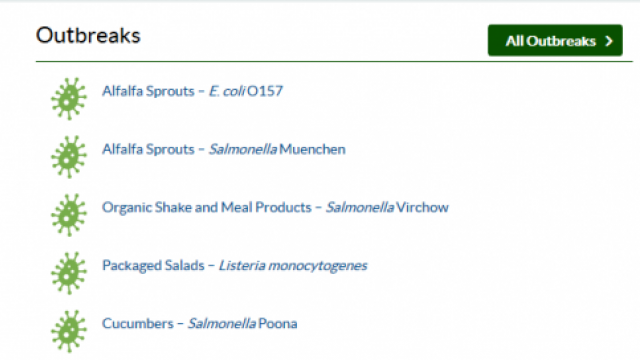 CDC Warns of 'Healthy' Food Outbreaks: Sprouts, Salads, Organic Shakes ...