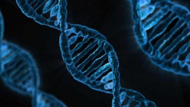 Study: 6,500 Genes 'Expressed Differently' Between Men and Women | MRCTV