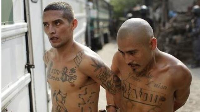 FBI: Illegal Alien Gang Members Murdered Victims 30 Minutes From U.S ...