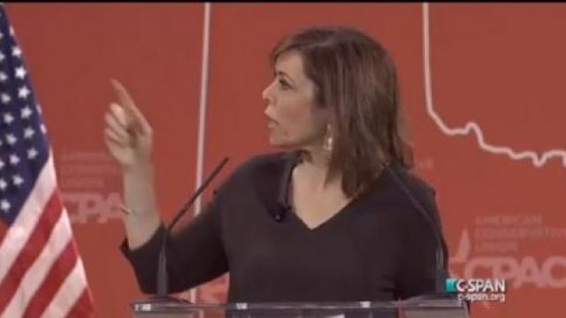 CPAC Speaker: Stress 'Values that Resonate' to Reach a Broader Audience ...